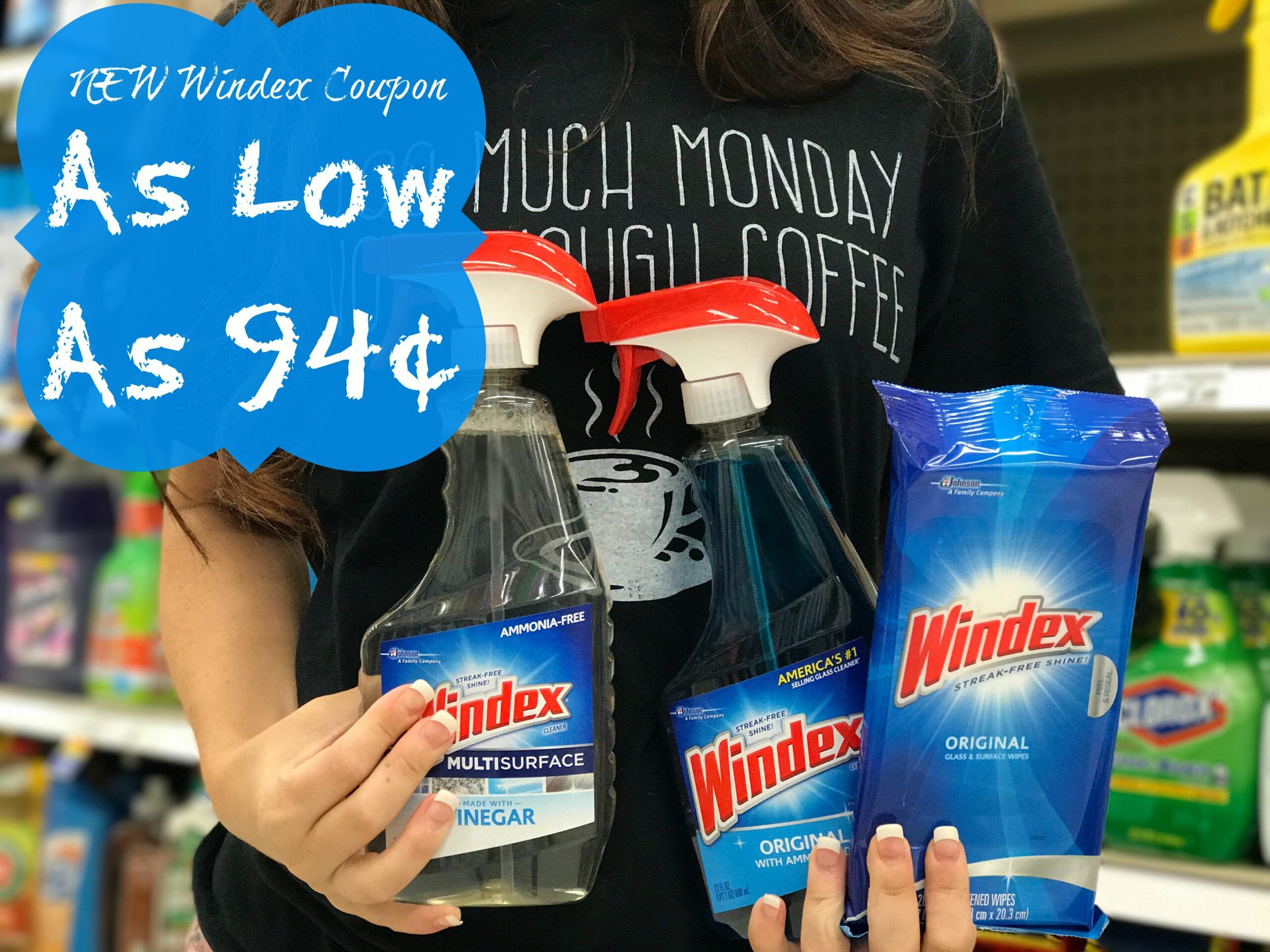 NEW Windex Coupon | Pick up Wipes for as low as $0.94 (spray for $1.72 ...