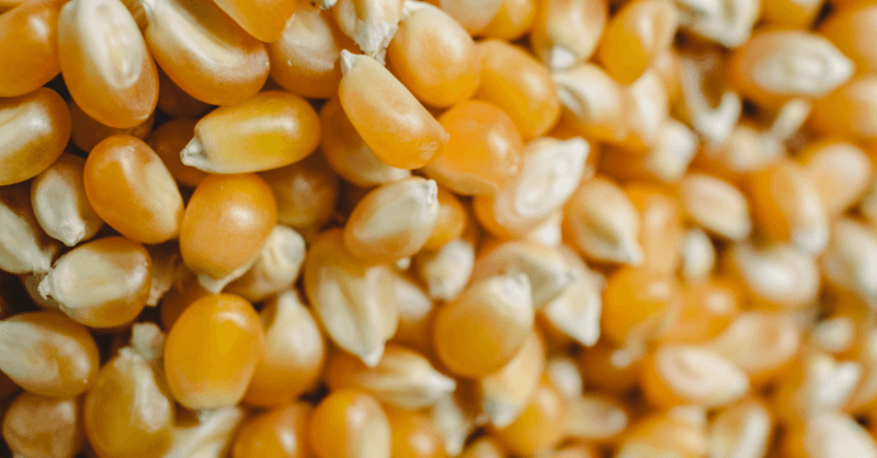 Kroger Popcorn Kernel Bags are B1G1 FREE! - Kroger Krazy