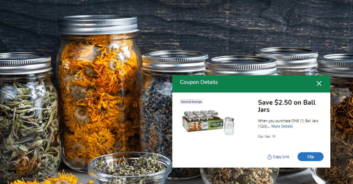 Ball Jars (12 ct) as low as $10.99 at Kroger! - Kroger Krazy