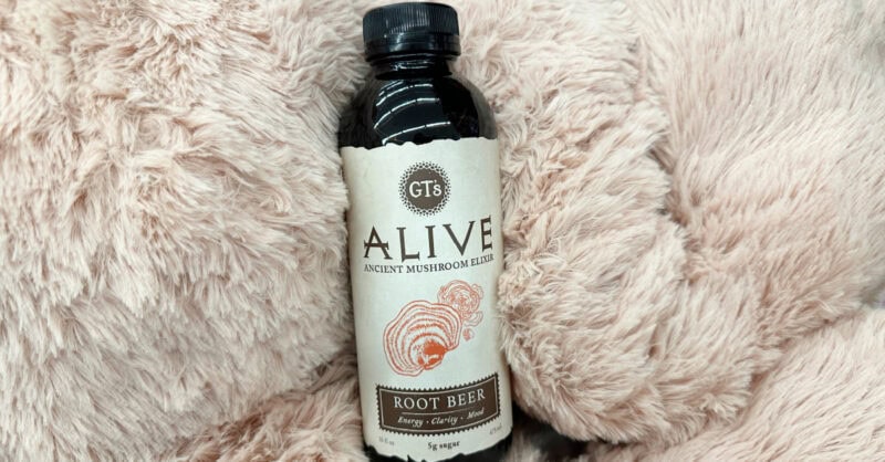 GT's ALIVE Ancient Mushroom Elixirs are $3.00 at Kroger + Enter Gift ...